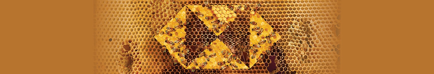 HSBC Business - Your partner for growth | HSBC UAE